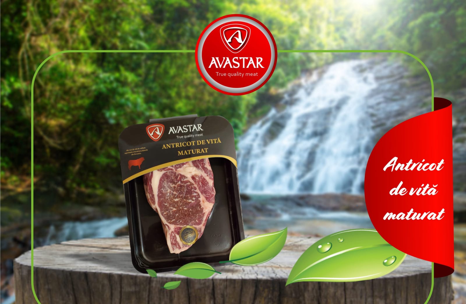Avastar - producator de carne vită, porc și oaie